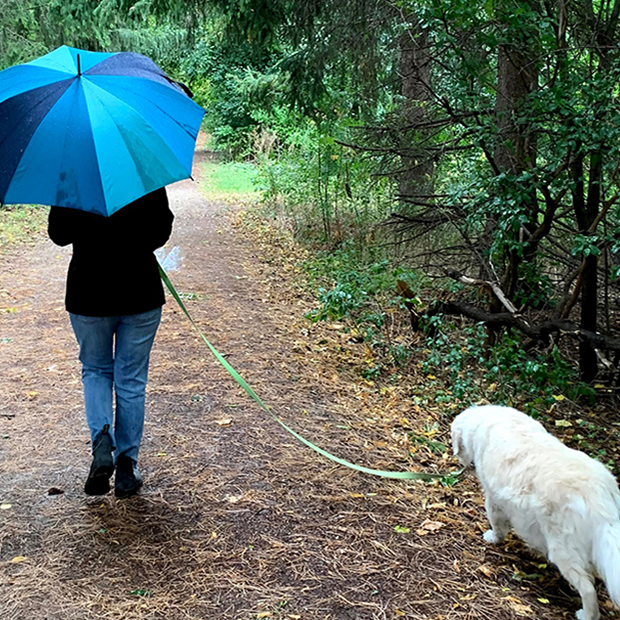 Day in the Life with Chloe Asselstine (November) - DeGroote School of ...